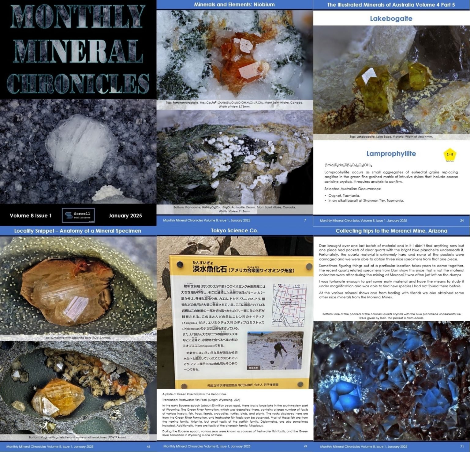 Monthly Mineral Chronicles Volume 8 Issue 1… – Crocoite.com